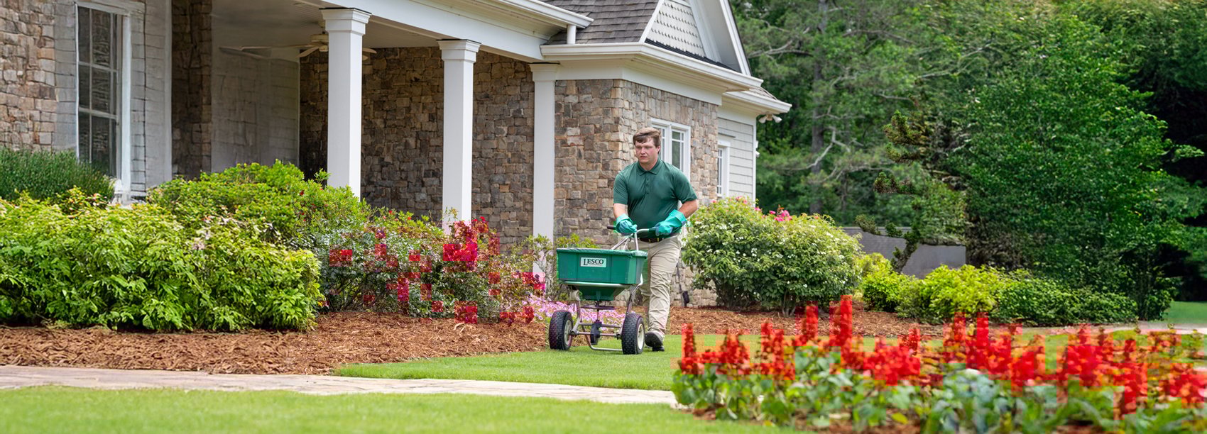 The Turf Doctor | Maine's Best Lawn Care & Pest Control Services